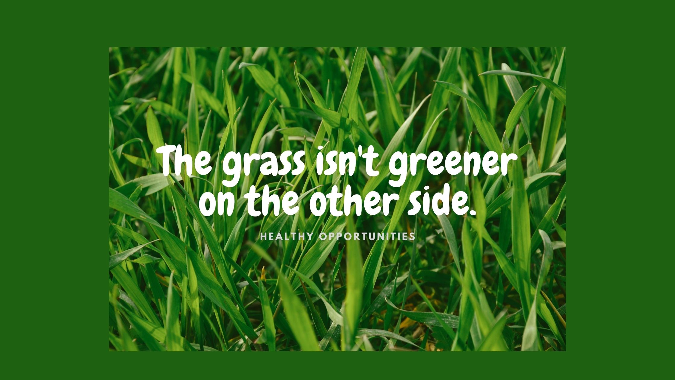The Greener Effect – Healthy Opportunities